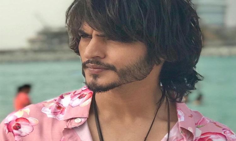 Ravi Bhatia learnt sword-fighting and horse-riding thanks to TV roles