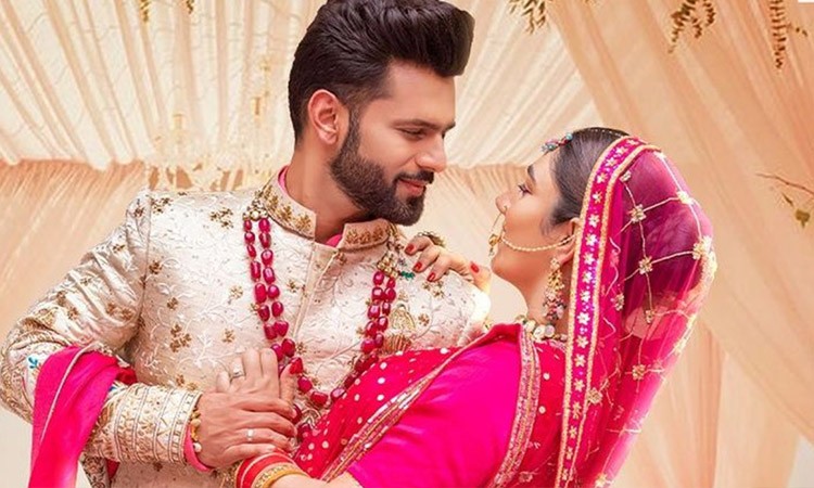 Top 10 adorable pictures of Rahul Vaidya and Disha Parmar that show ...