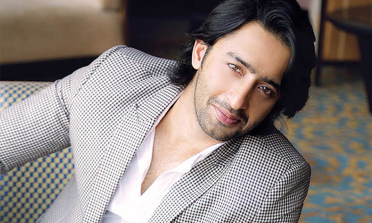 Top 10 actors of Indian Television we want to see in Bollywood movies