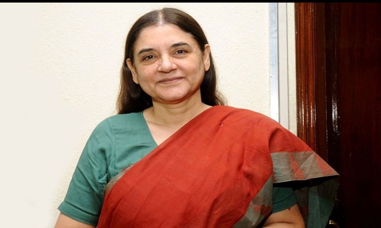Jab They Met: Maneka Gandhi and Sanjay Gandhi