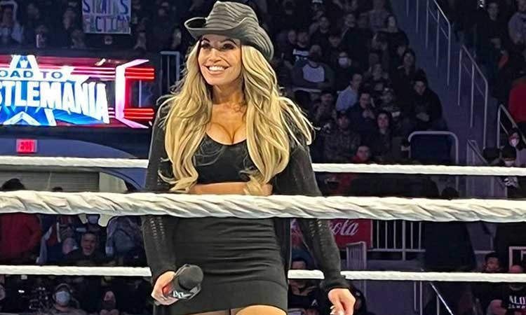 Top 10 most HOT WWE divas of all time