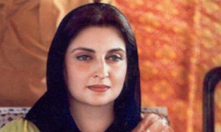 Top 10 most beautiful Pakistani politicians