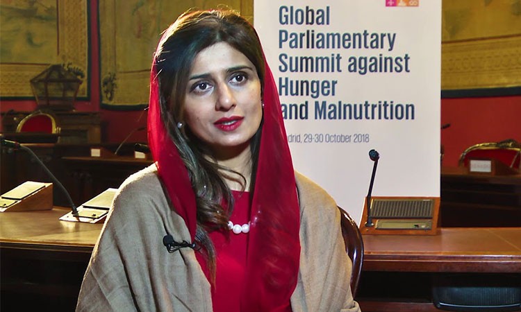 Top 10 most beautiful Pakistani politicians