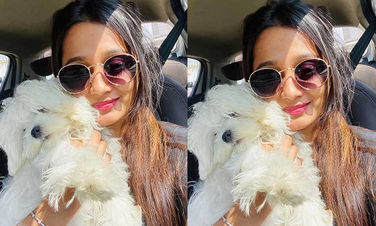 Meha Patel: Meet the gorgeous wife of India's sensational all-rounder ...